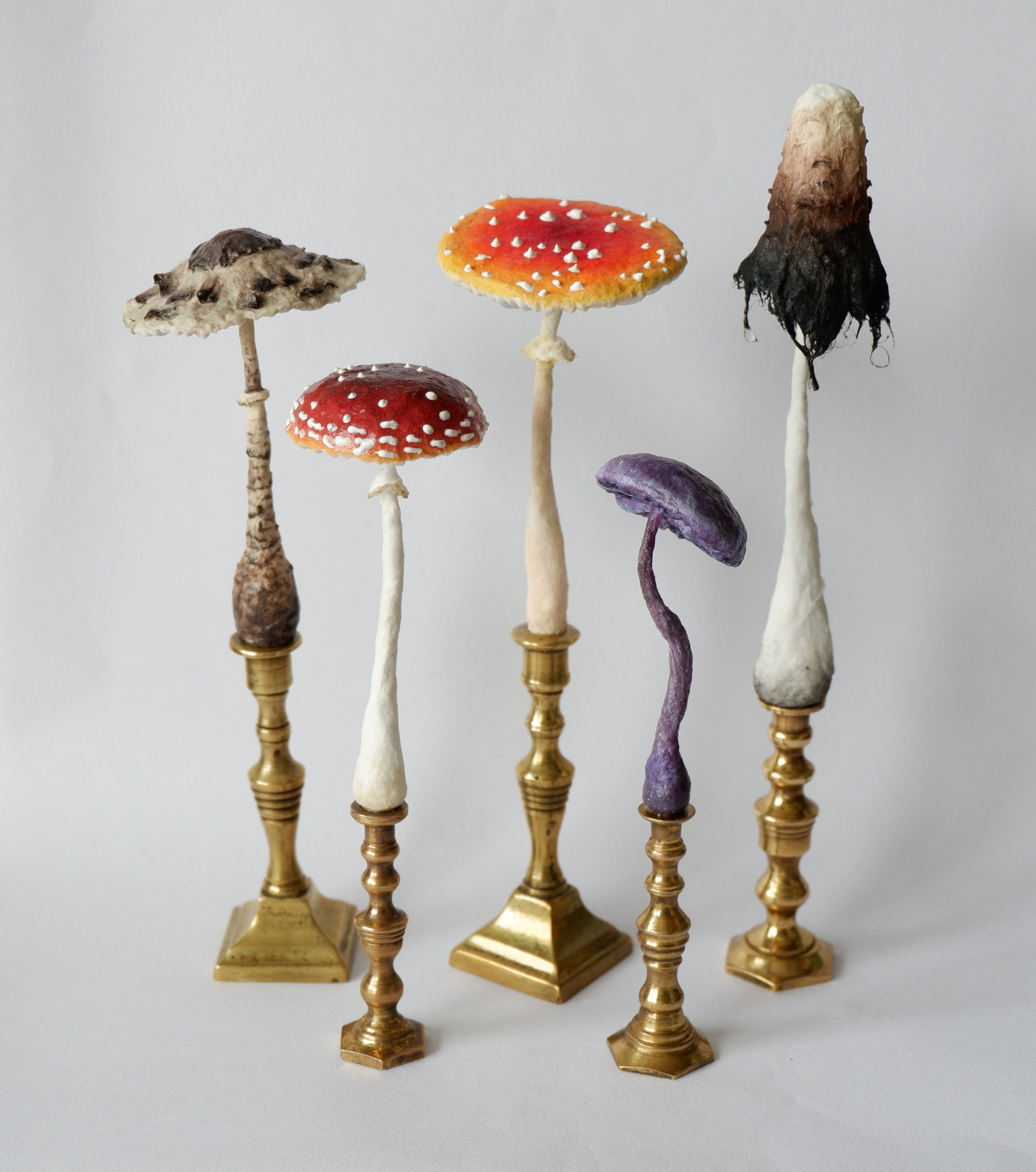 Toadstools and Teacups